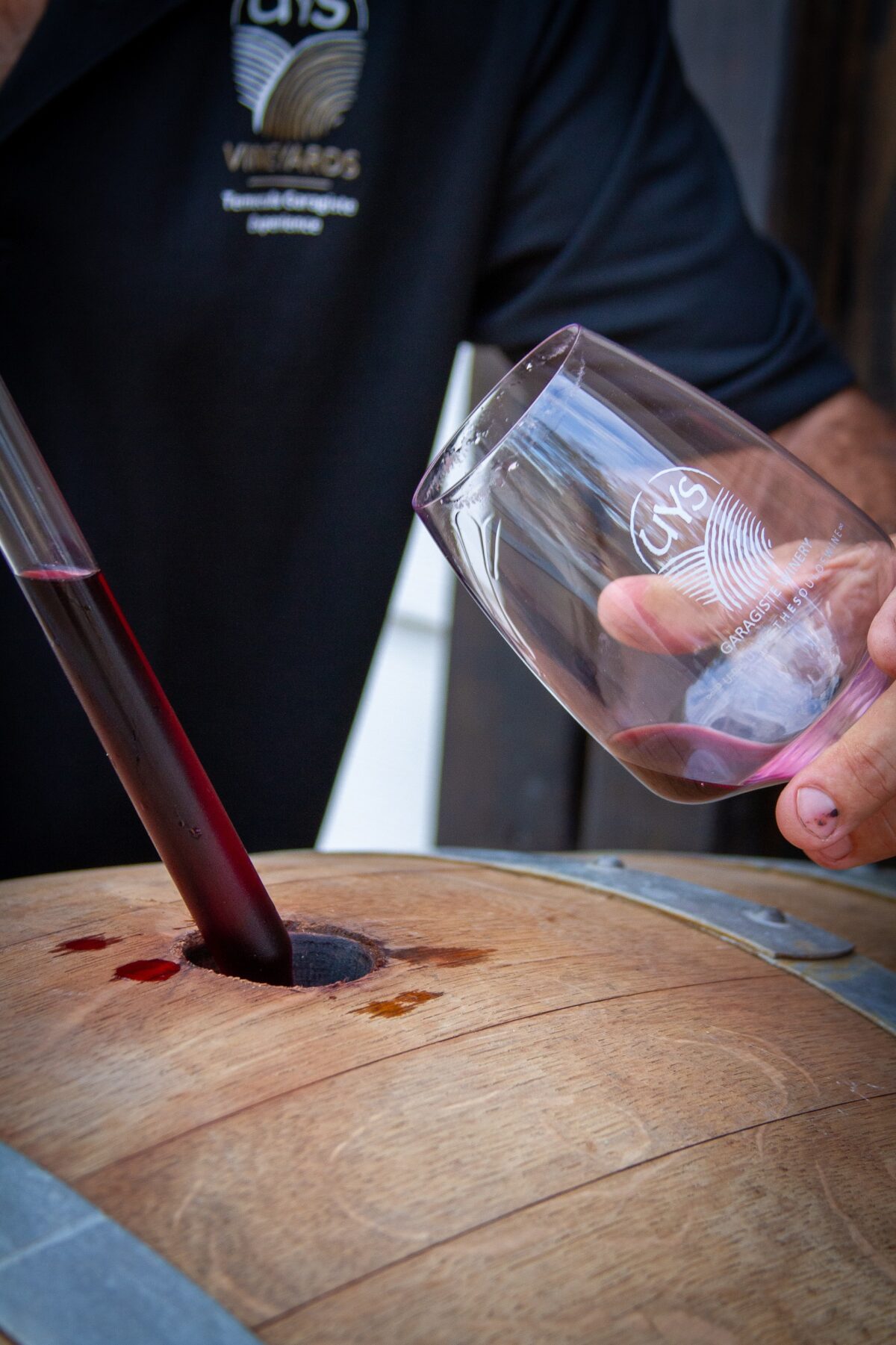 Personal Tour with the Winemaker - Uys Family Vineyard